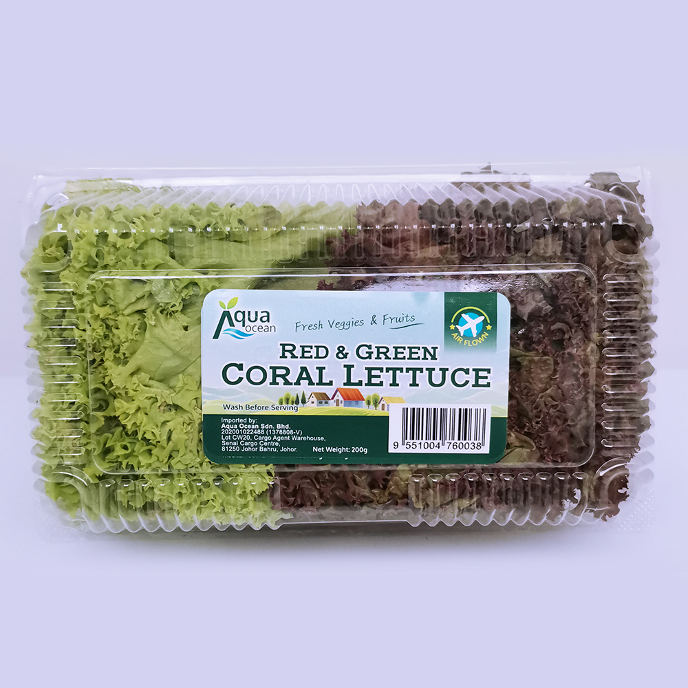 GREEN CORAL LETTUCE AQ CAMERON 200GX15